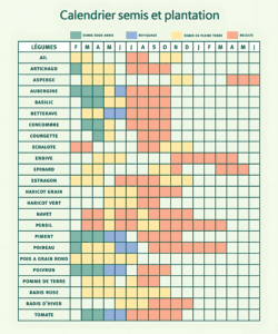 Calendrier des Semis et des Plantations - coinjardin.com