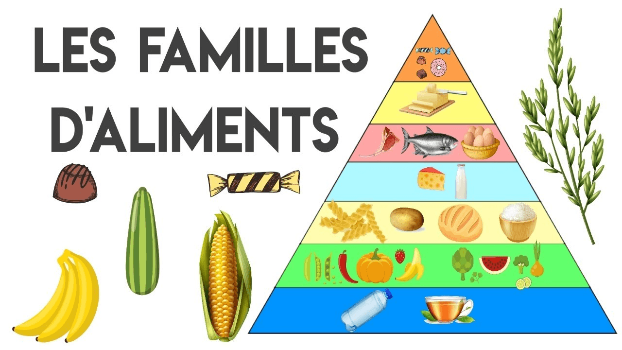 Comprendre la Pyramide Alimentaire pour une Alimentation Équilibrée ...
